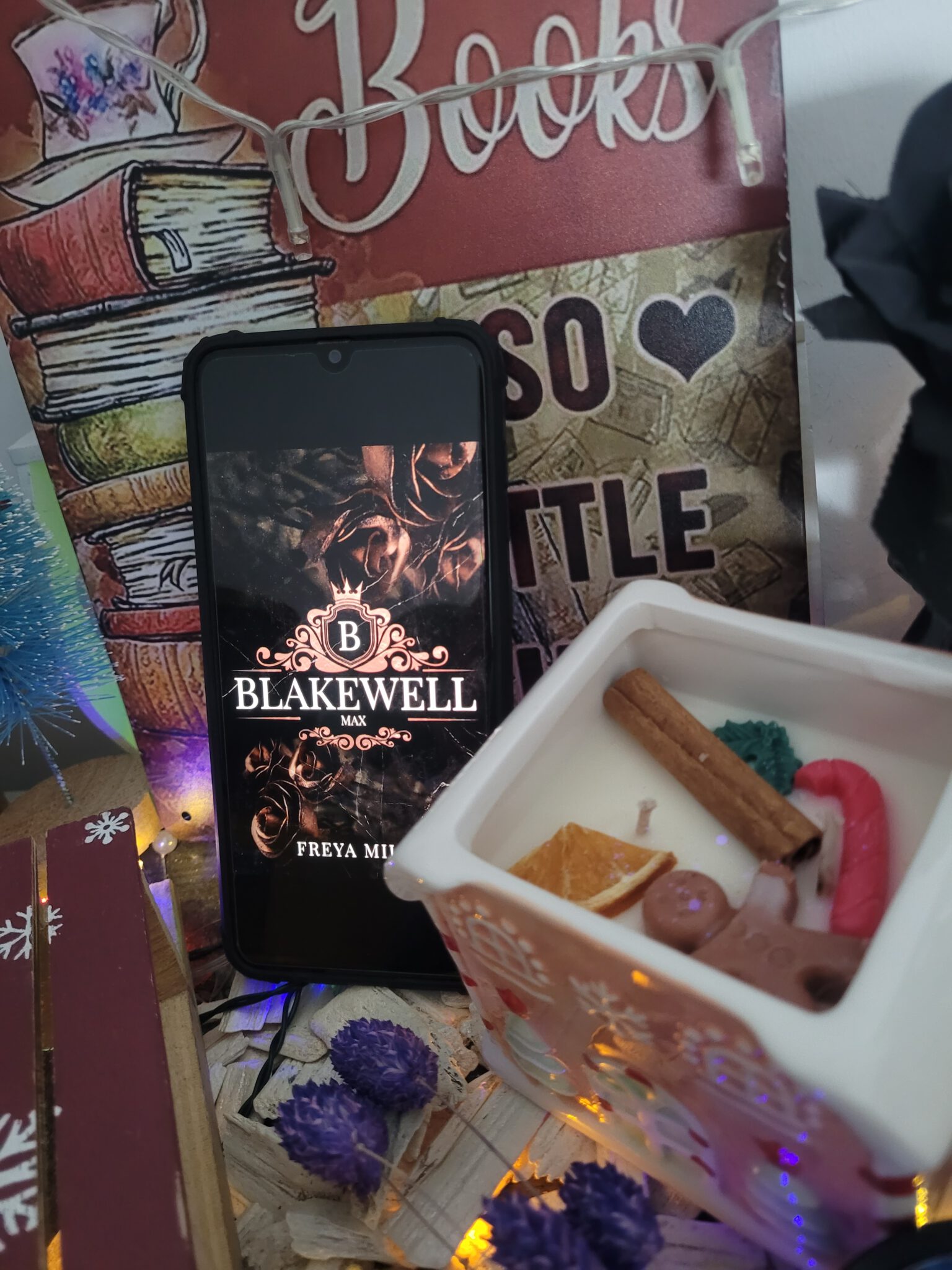 Rezension zu Max Blakewell – Mexiis-Leseparadies